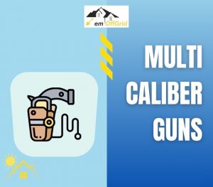 Multi-Caliber Guns: 7 Common Types & Costs