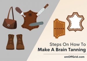 10 Steps to Make A Brain Tanning