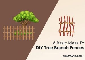 6 Ideas for DIY Tree Branch Fences