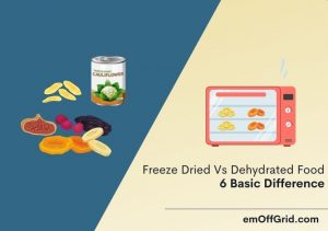 Freeze Dried Vs Dehydrated Food: What Are the Difference?