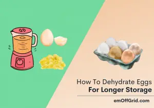 How to Dehydrate Eggs for Longer Storage