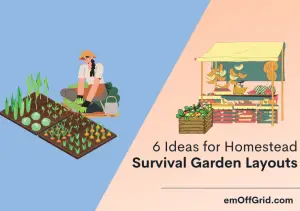 6 Ideas for Homestead Survival Garden Layouts